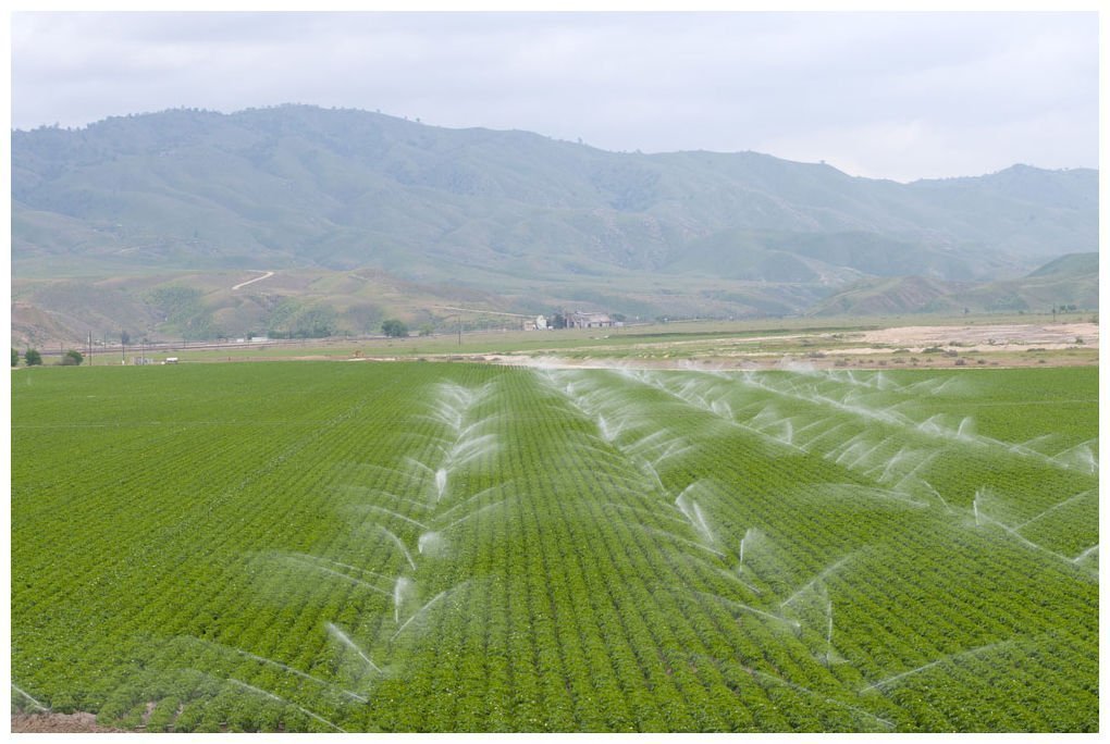 Spri̇ng sulama ürünleri̇